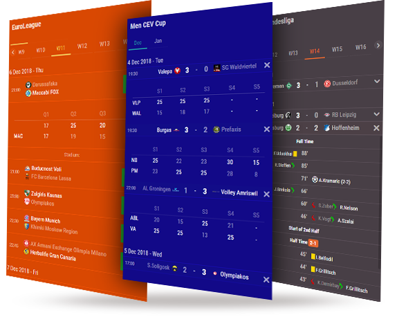 Sports Data Company, Widgets and API