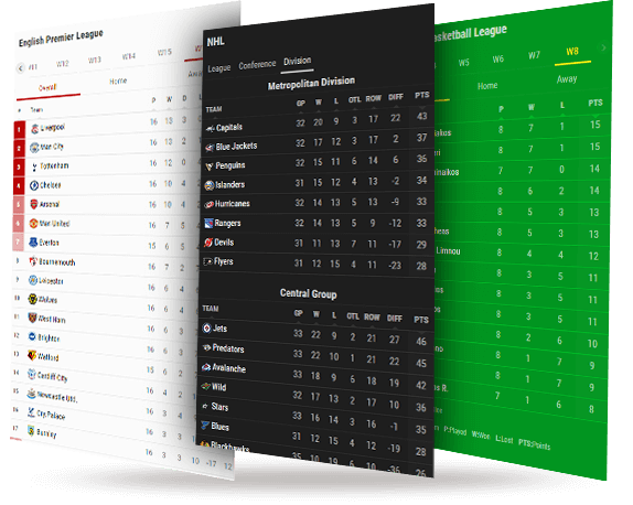 Sports Data Company, Widgets and API